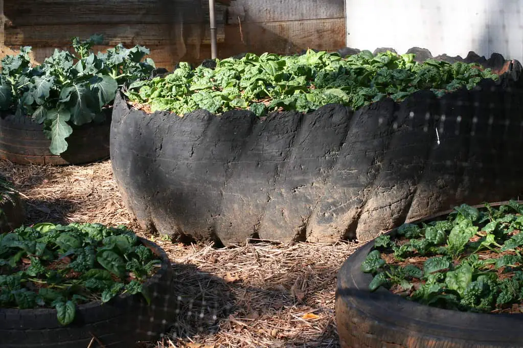 10 Upcycled Garden Planter Ideas for Sustainable Gardening - Backyards ...