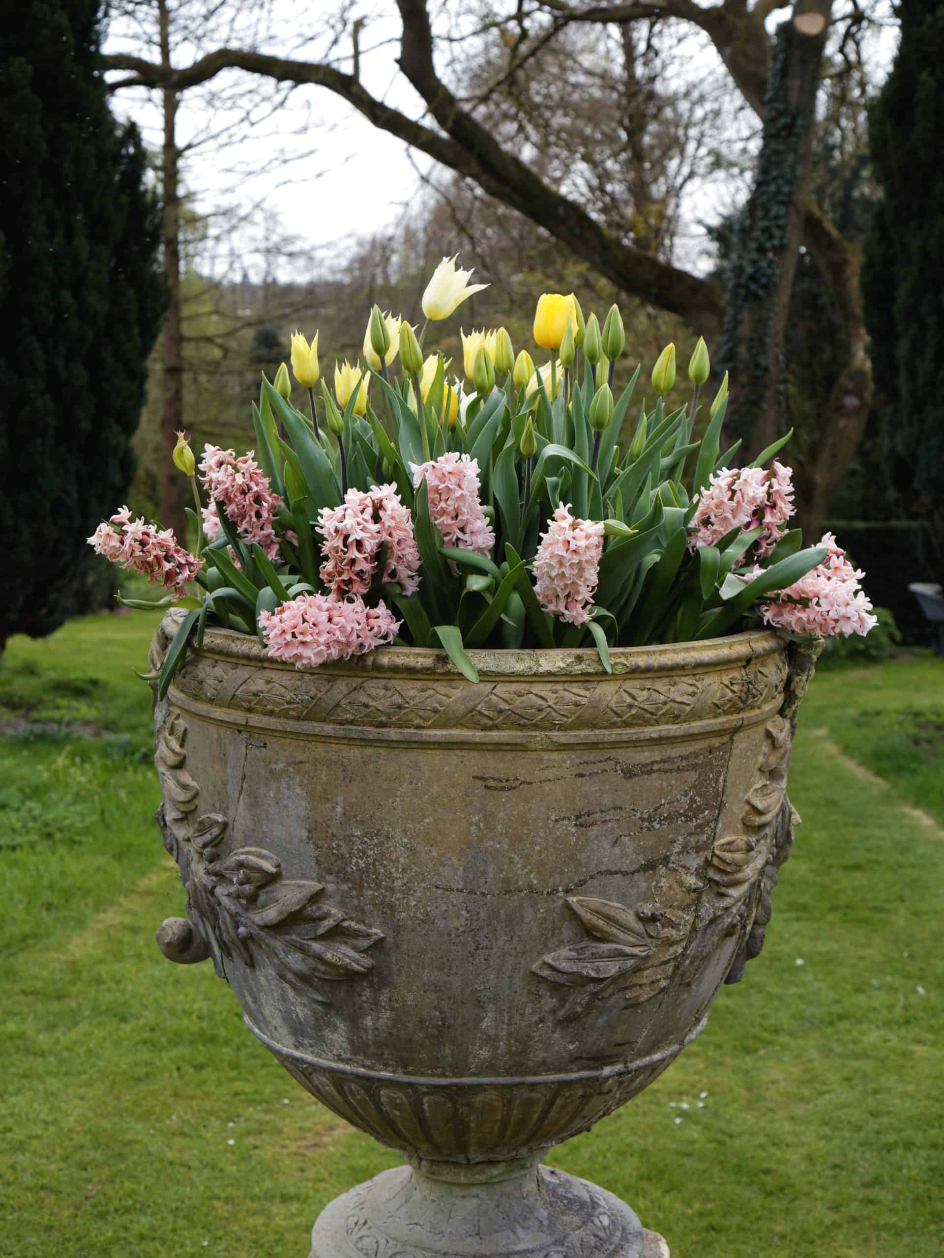 Large Urn Planter Ideas: Elevating Your Garden's Aesthetic - Backyards ...