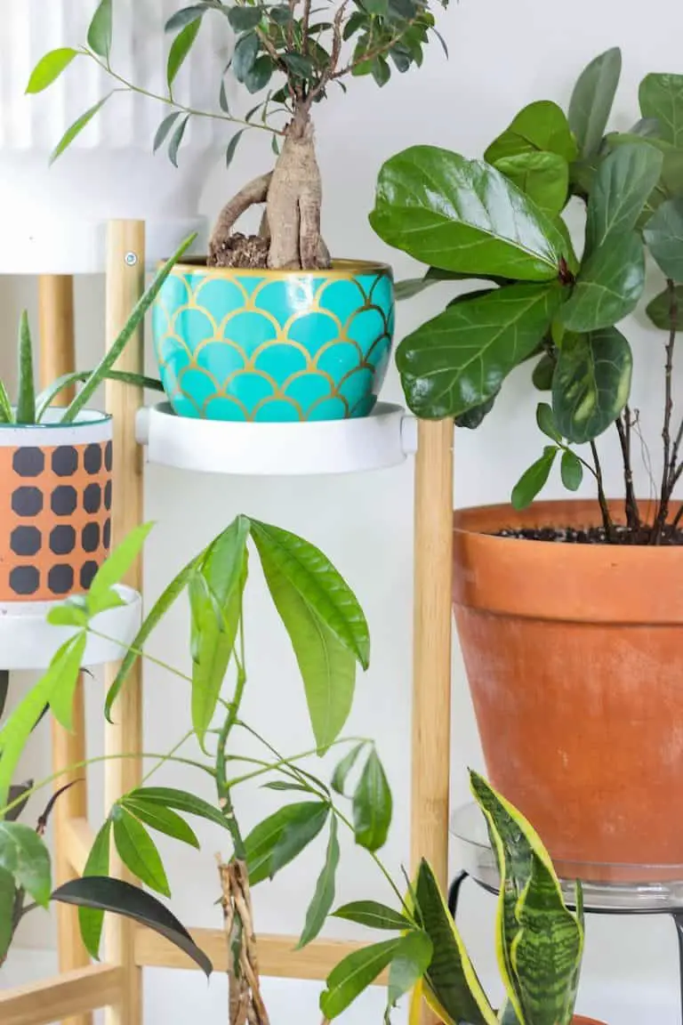 Reaching New Heights: How to Fill Tall Planters with Style - Backyards ...